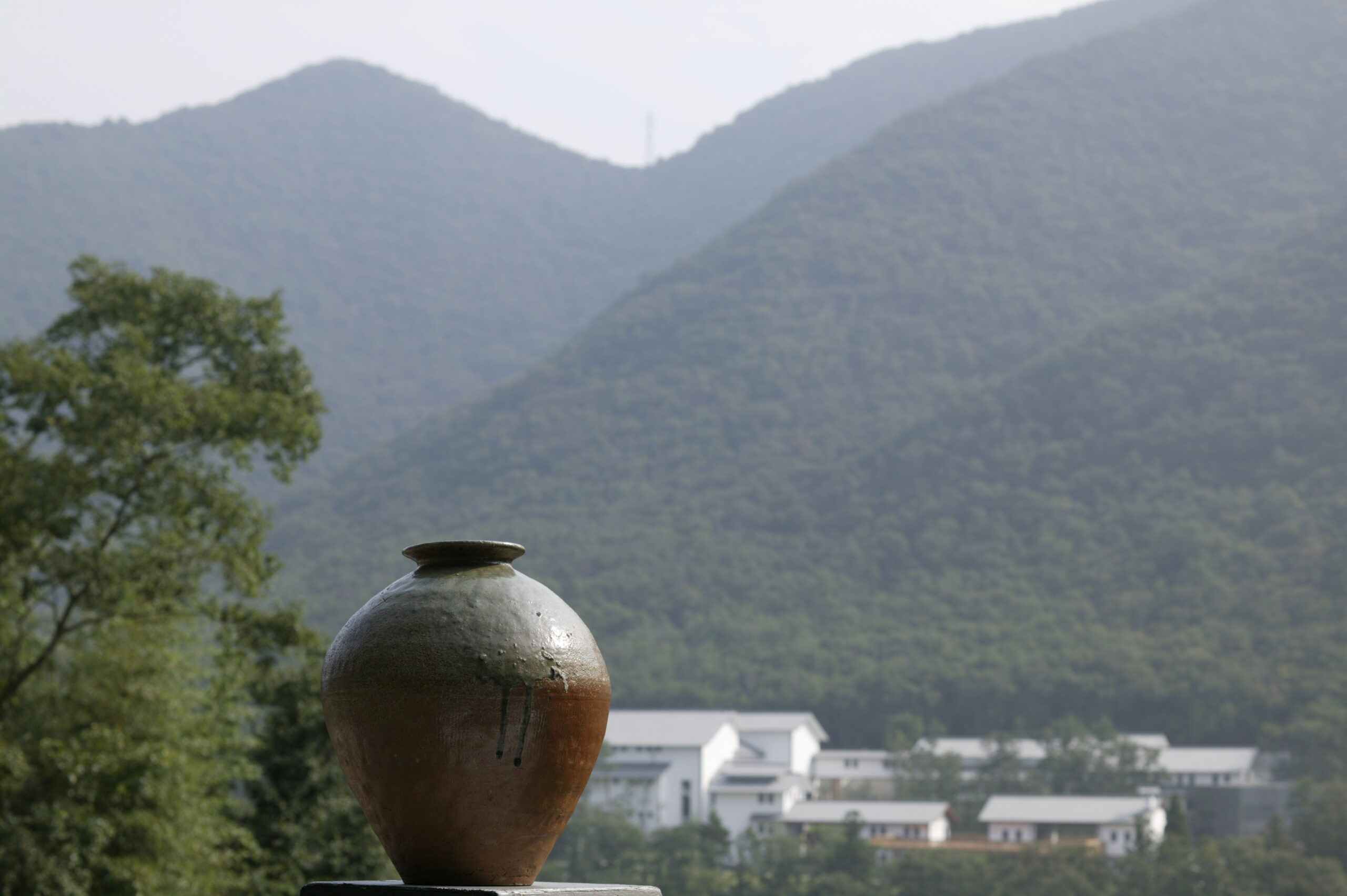 Tamba Ware: A Timeless Tradition of Japanese Pottery - MoCA/NY